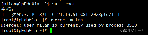 Linux中使用userdel删除用户时出现userdel: user XXX is currently used by process 3519处理办法_linux删除用户时被进程占用-CSDN博客