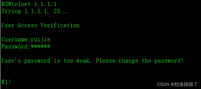 RCNA-Routing and Switching综合实验-CSDN博客