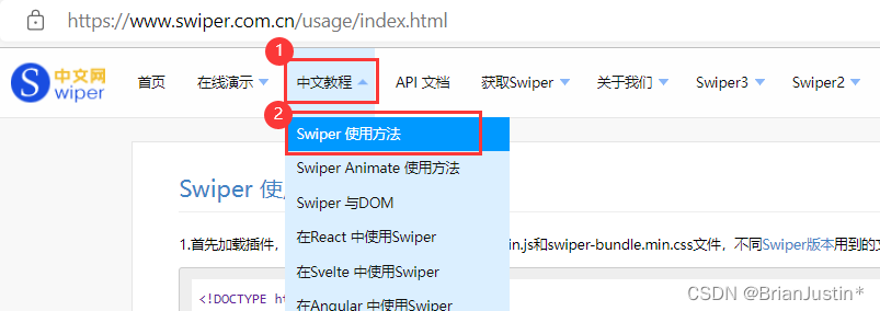 Swiper插件 下载及使用教程_swiper-bundle.min.js-CSDN博客
