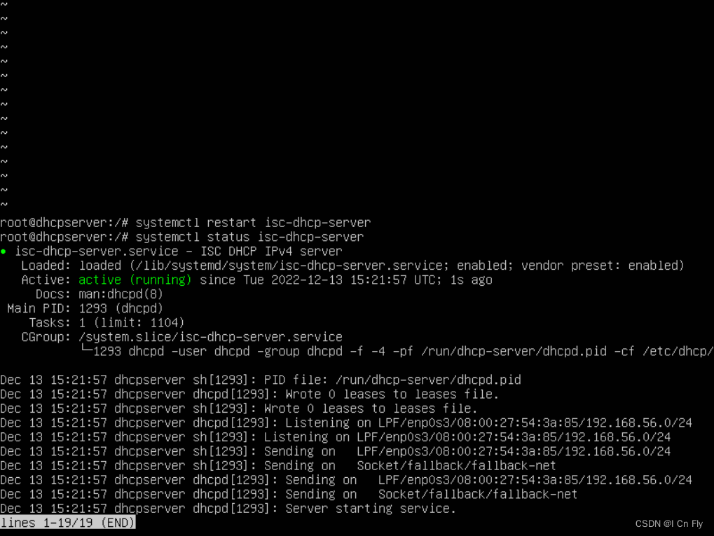 超详细 VirtuaBox虚拟机安装ubuntu18并配置DHCP SERVER过程_virtualbox的dhcp-CSDN博客