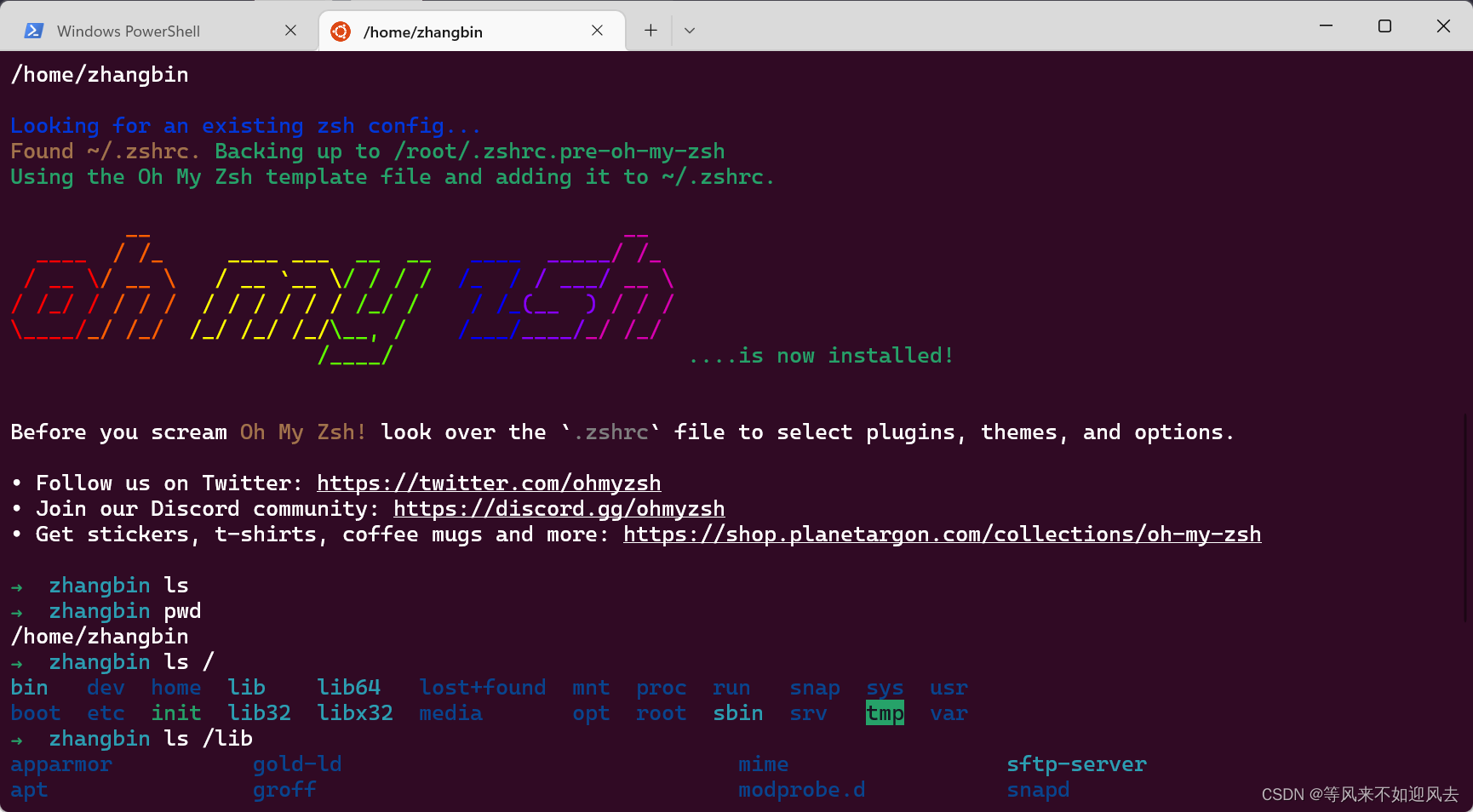 【WSL】配置zsh_wsl zsh-CSDN博客