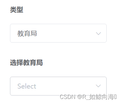 select选择器 筛选不同内容显示_el-select过滤显示部分数据-CSDN博客