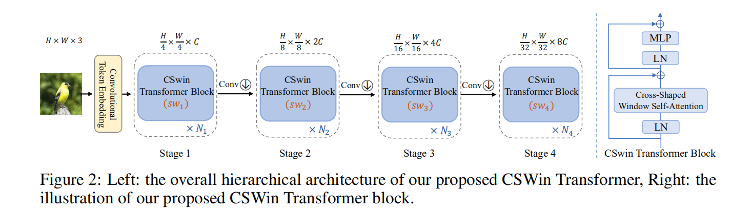 CSWin Transformer：A General Vision Transformer Backbone with Cross ...