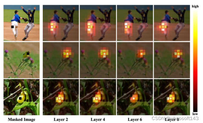 LoMaR_loma level 1 csdn-CSDN博客