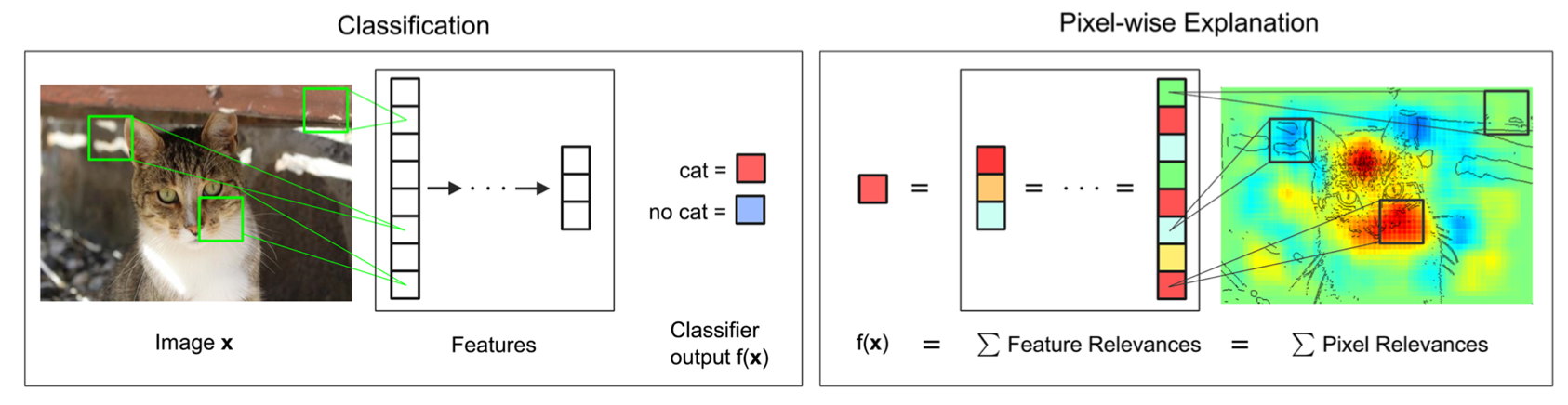 【可解释论文阅读】13.LRP（Layer-wise relevance propagation相关性分数逐层传播）-CSDN博客