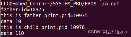 【Linux篇】创建进程函数fork的使用_采用c语言中进程创建函数fork()及获取进程id号函数getpid(),在linux环境下,编程实-CSDN博客