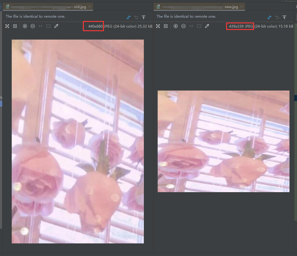 pytorch用MaxPooling实现图片转换到指定大小_torch 放大图像 pool-CSDN博客