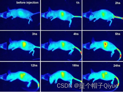 IRDye 800CW 红外染料IRDye 800CW NHS Ester/Maleimide/Carboxylate/Carboxylic ...