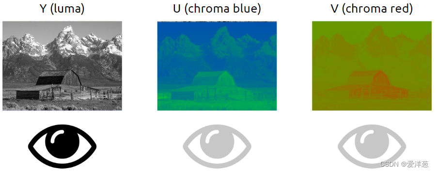 VideoCodec 入门篇 - 00 (编解码简介)_video codec-CSDN博客