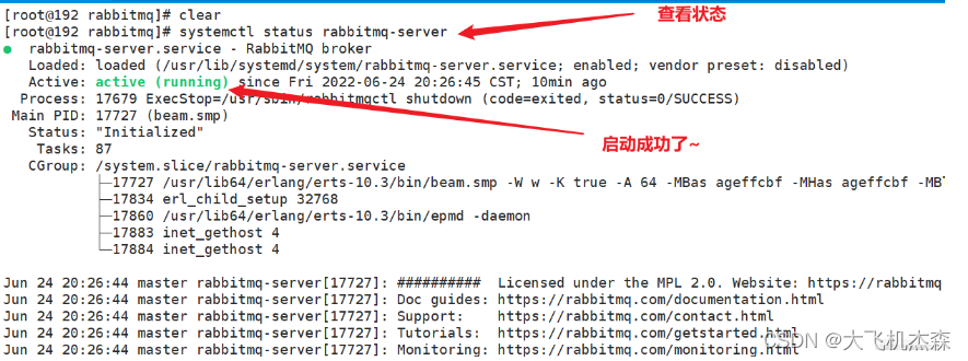 解决rabbitmq启动报错:job For Rabbitmq Rvice Failed Because The Control Process Exited With