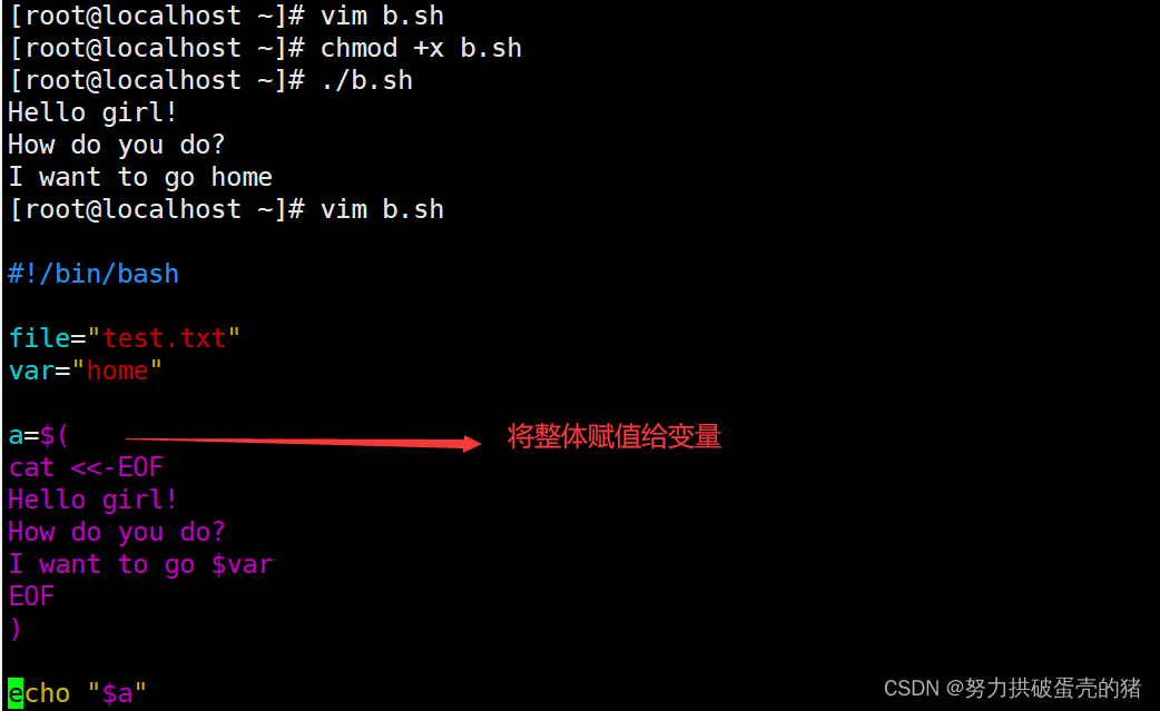 Shell编程之免交互shell非交互式命令 Csdn博客 