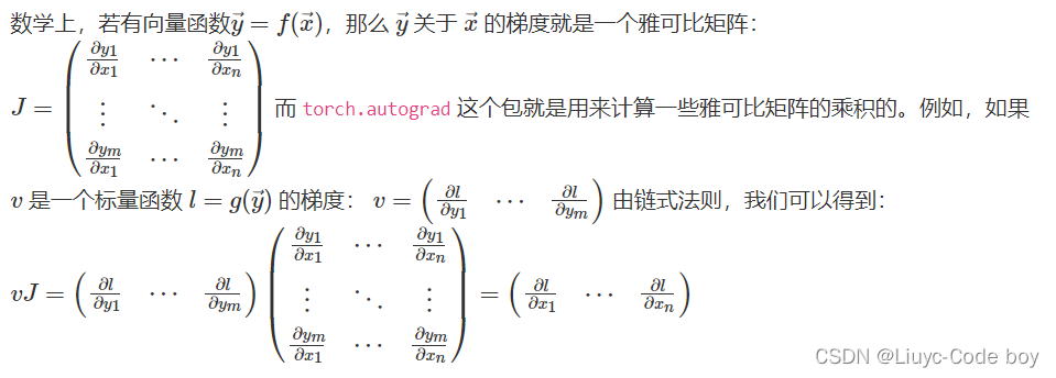 Pytorch基础知识之:张量 自动求导 并行计算张量并行 Csdn博客