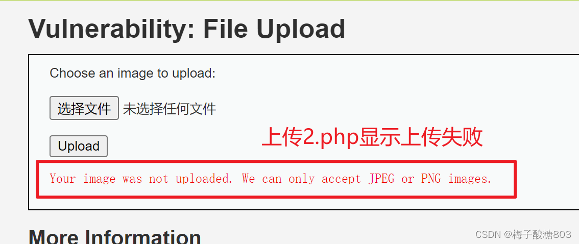 DVWA文件上传通关攻略及代码分析_dvwa文件上传源代码-CSDN博客