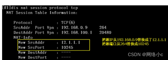 NAT的概括_dis nat session表知识点-CSDN博客