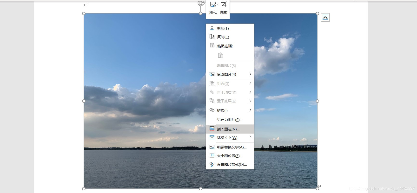 Automatically number pictures or tables in Word - Programmer Sought
