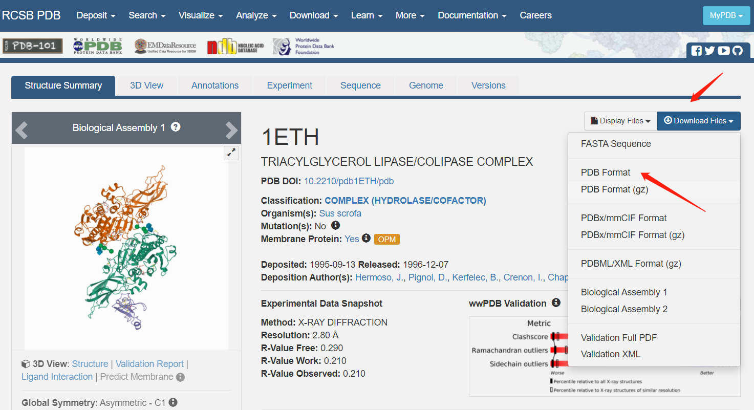分子动力学模拟Gromacs一般使用步骤（空蛋白）_gmx分子动力学教程-CSDN博客