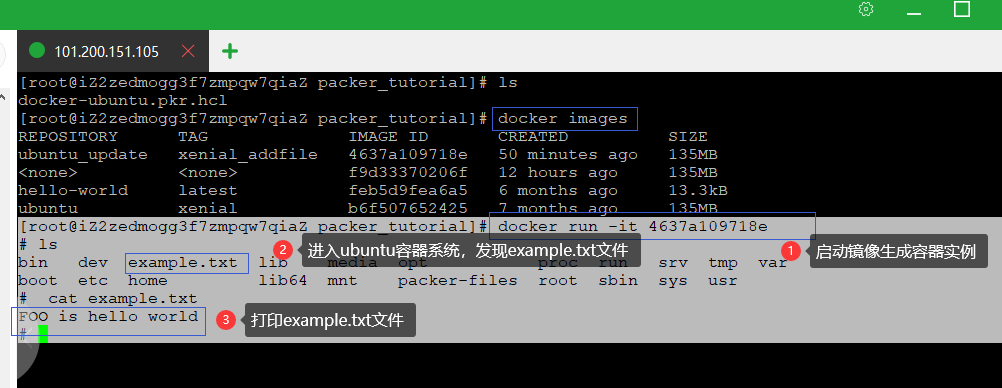 packer学习—用Docker构建器构建docker镜像_配置环境变量packer-CSDN博客