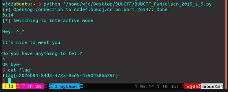 [BUUCTF] ciscn_2019_s_9_buuctf jmp esp-CSDN博客