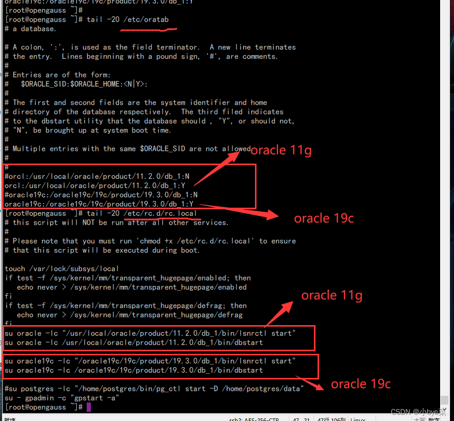centos7安装多个版本的oracle_同时安装2个版本的oracle-CSDN博客