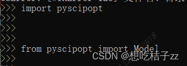 Pyscipopt 找不到安装路径报错_pyscipopt安装不成功-CSDN博客