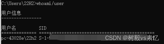 查看/清除Windows系统SID_系统sid查看-CSDN博客