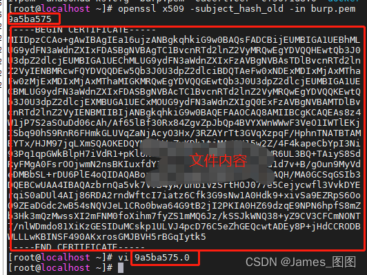 Burpsuite+postern 抓取flutter开发的程序包中https请求_postern抓包-CSDN博客