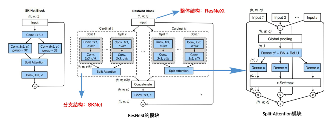 ResNet变种（ResNet-B/C/D、Res2Net、ResNeXt、ResNeSt）_resnet-d-CSDN博客