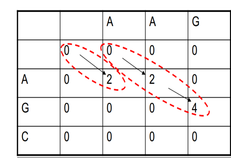 BLAST原理和用法总结（一）_blast算法-CSDN博客