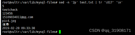 Mysql使用into Outfile导出数据时设置分隔符为0x0f 导出文件的分隔符0x0f Csdn博客