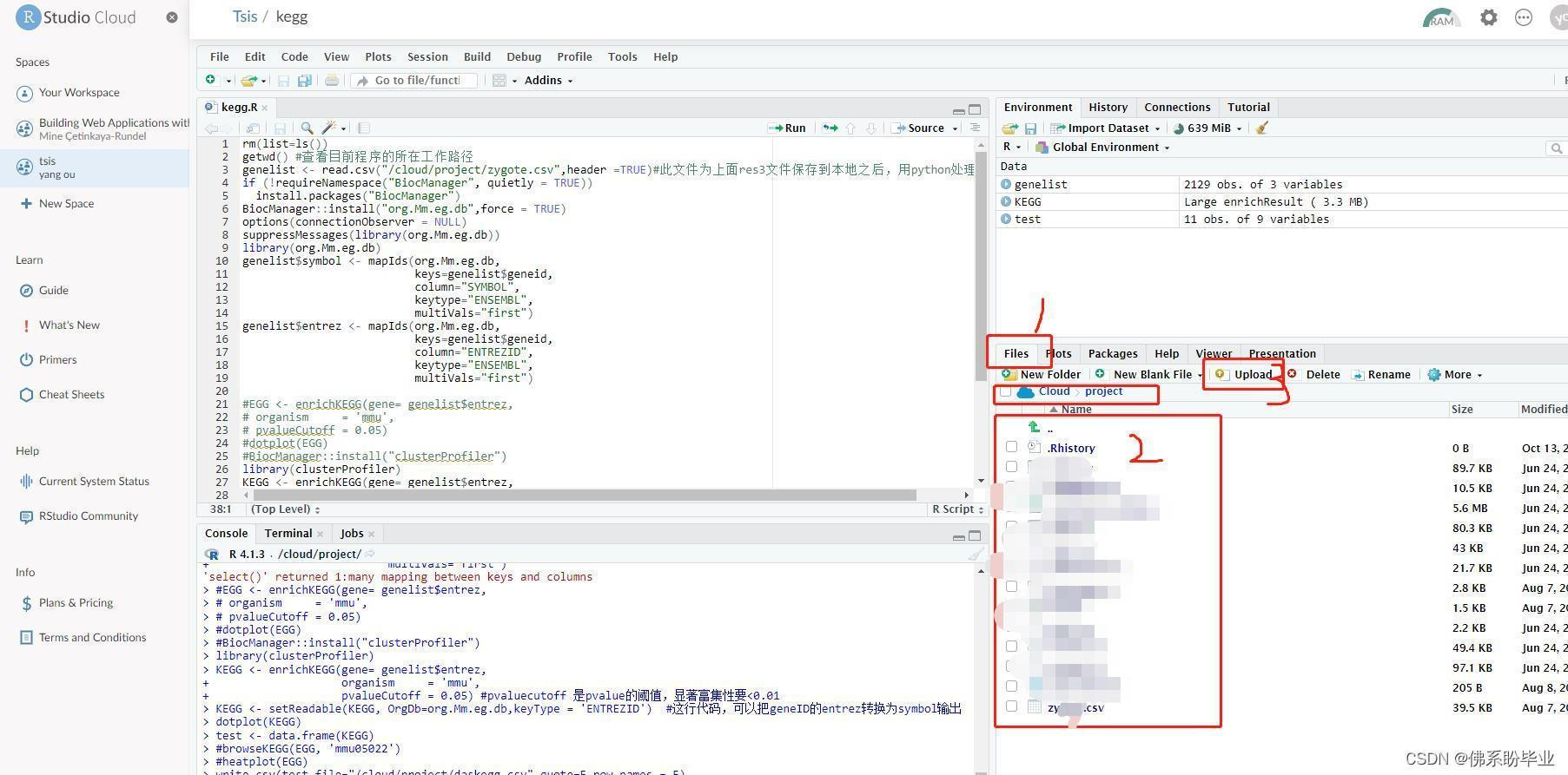 使用在线版Rstudio跑kegg，解决报错报错 fail to download KEGG data... Error in download.KEGG.Path(species)的方法 ...
