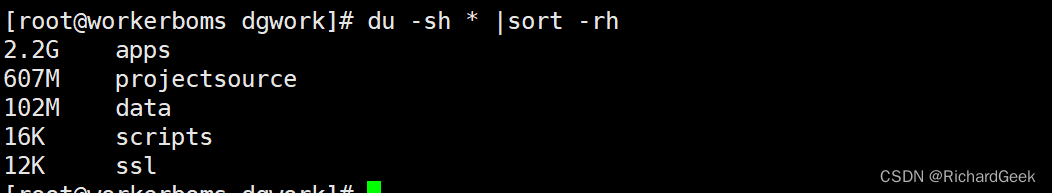 Linux 利用 du -sh 命令查看磁盘使用文件大小信息-CSDN博客