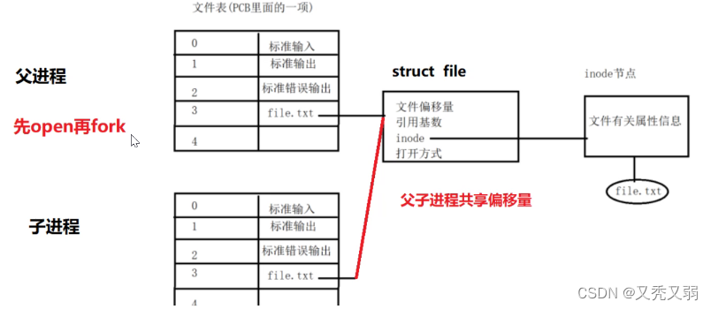 【Linux】文件描述符&先打开open文件再fork&先fork再open_fork文件描述符-CSDN博客