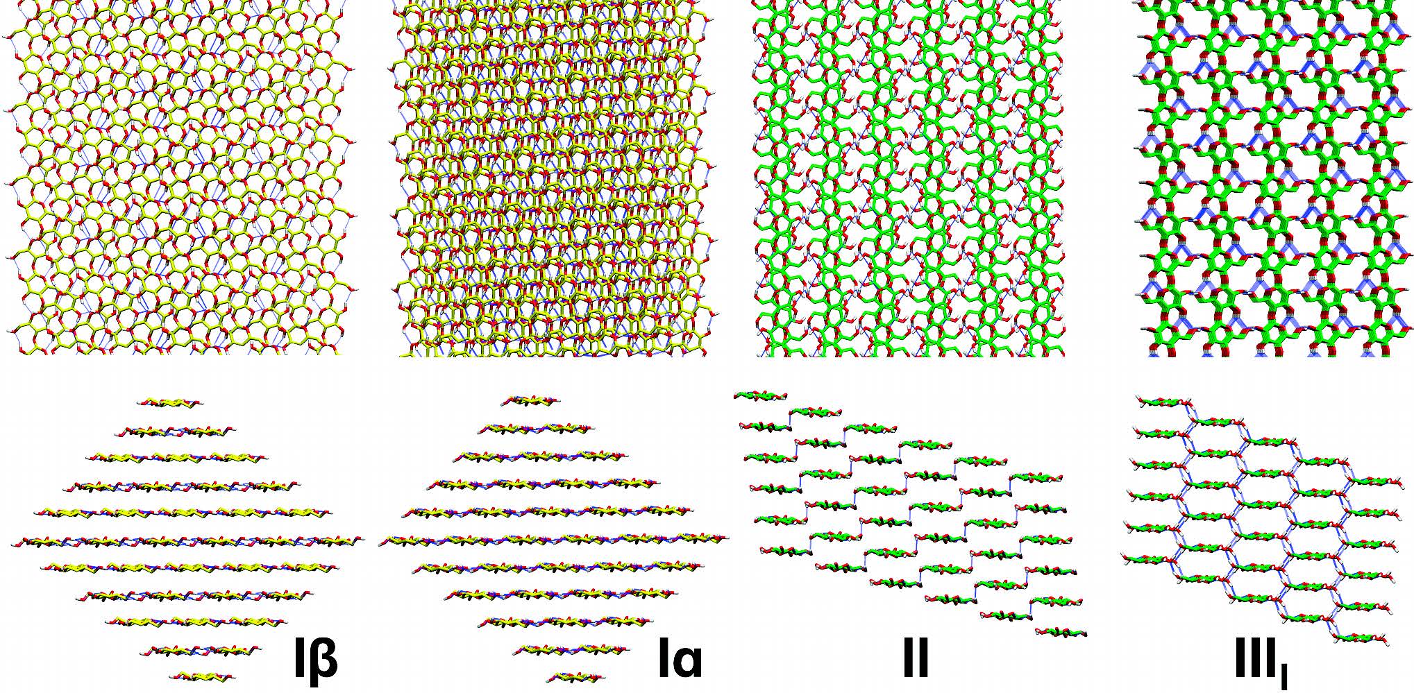 Cellulose Builder 用户指南-CSDN博客