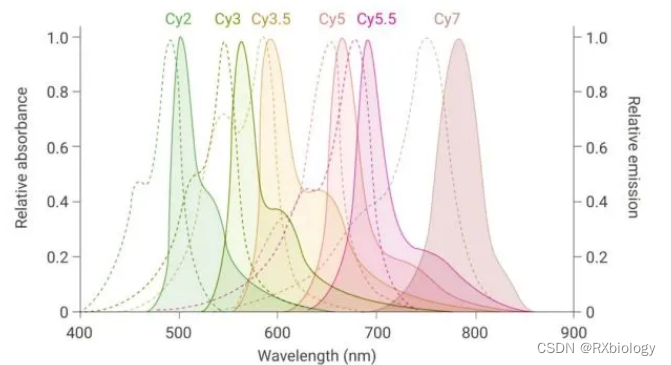 荧光标记Sulfo-Cyanine5 Streptavidin，适合于深度组织成像和生物体内成像-CSDN博客