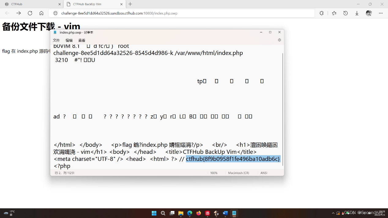 CTFHUB-Vim_ctfhub vim-CSDN博客