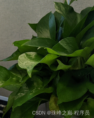 Android GPUImage-12: Gamma_android gamma-CSDN博客