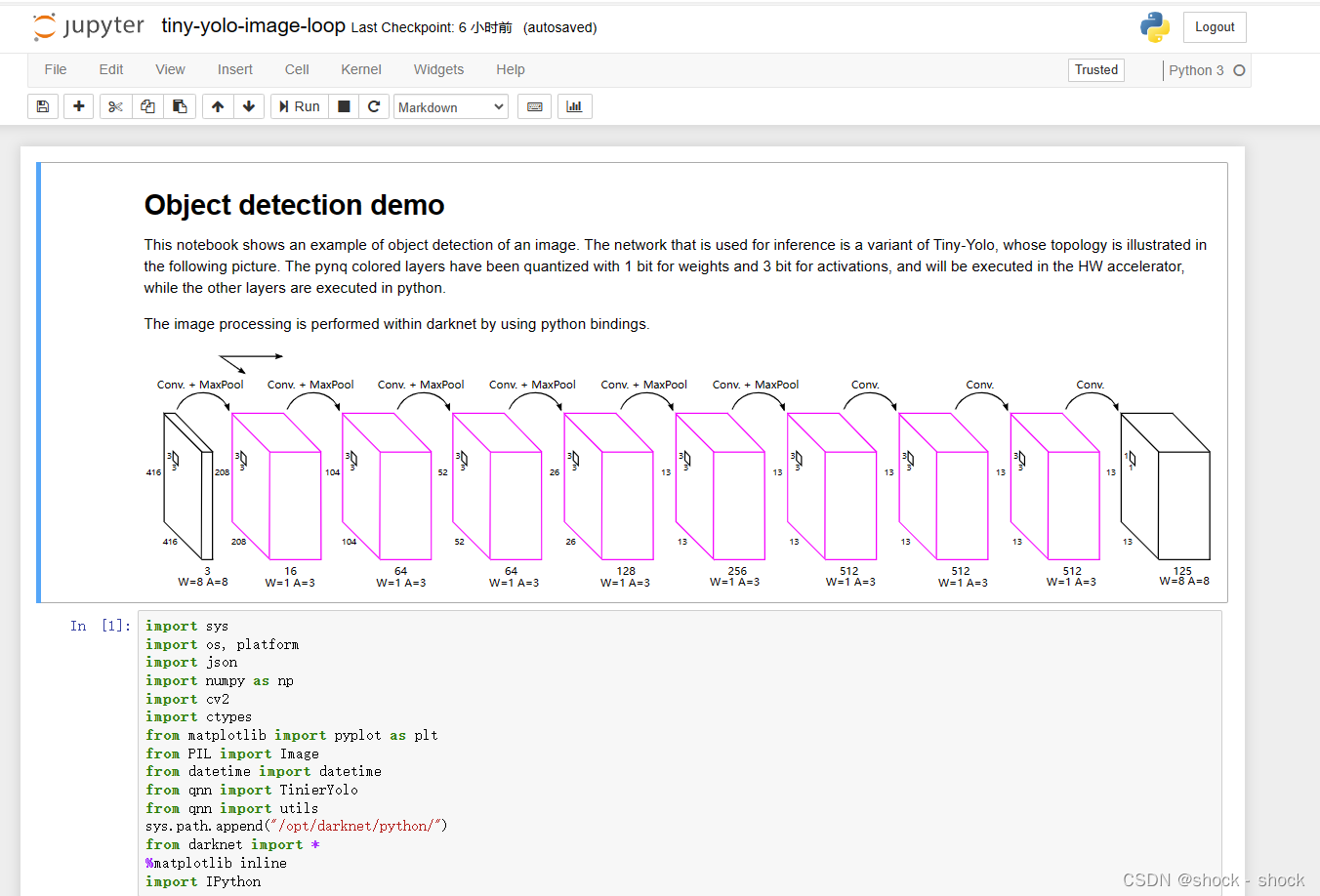 使用PYNQ Z2实现目标检测 YOLO （从零到一的项目构建）_pynq-z2-CSDN博客