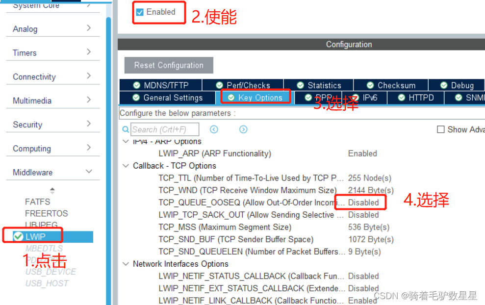 Stm32cubemx V6 3 0 在stm32f407zgt6（正点原子开发板）上实验3 Lwip Cubemx6 3 0 Csdn博客