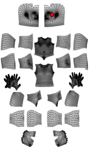 DensePose学习笔记_densepose训练-CSDN博客