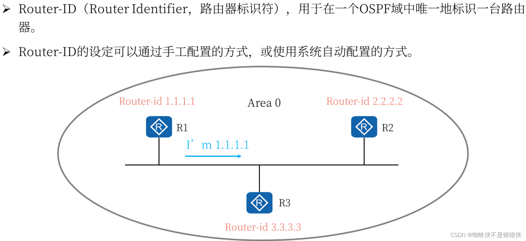 路由技术基础——OSPF协议原理-CSDN博客