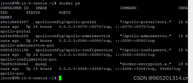Docker构建Apollo配置中心高可用部署_apollo 高可用-CSDN博客