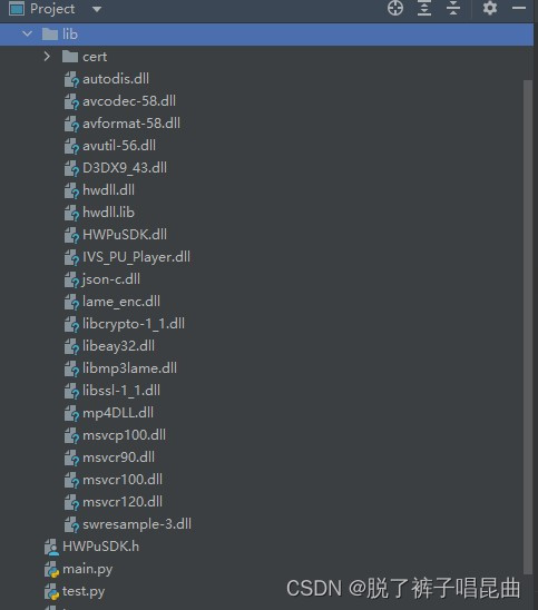 华为sdc摄像机python调用c++sdk记录_python调用c++sdk接口-CSDN博客