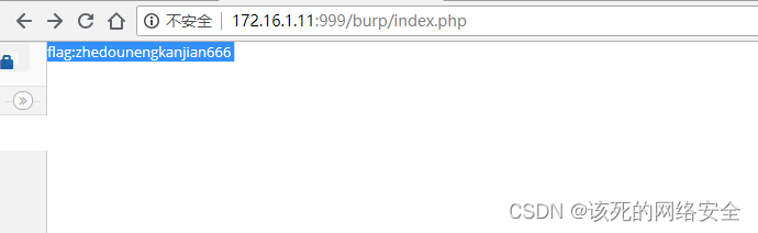 暴力破解拿flag_flag local access hacker!-CSDN博客