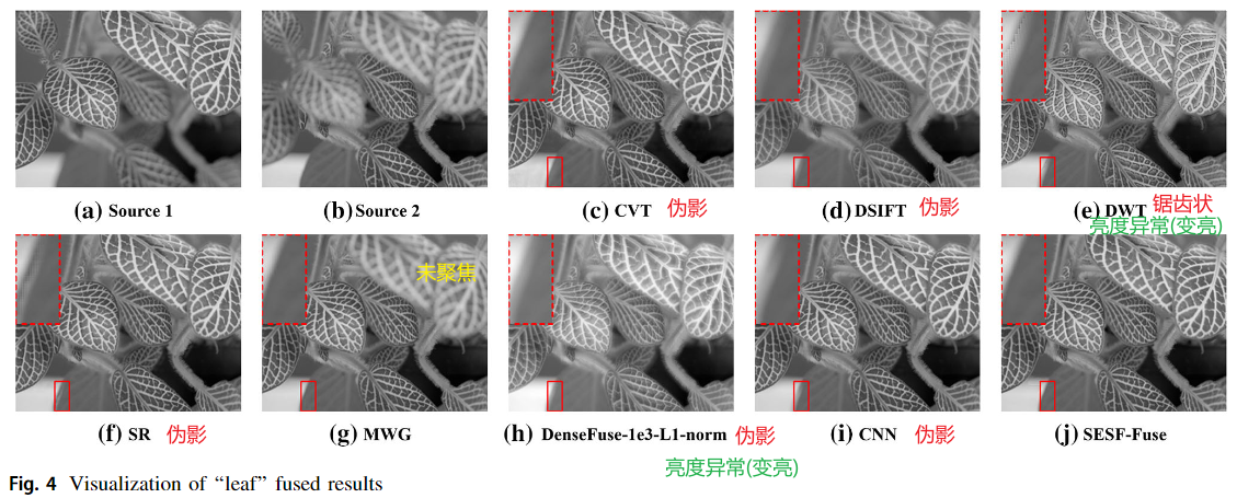 论文笔记：SESF-Fuse: an unsupervised deep model for multi-focus image fusion (2021)-CSDN博客