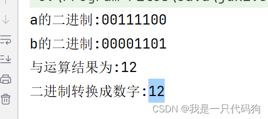 二进制运算符_11000011二进制取反-CSDN博客