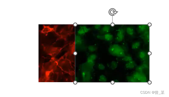 PPT图片混合技术_onekey 混合-CSDN博客