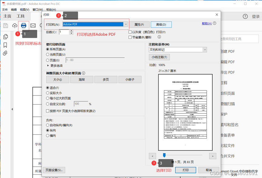 调整pdf每个页面大小一致操作步骤_adobe acrobat dc2021怎么调整页面大小-CSDN博客