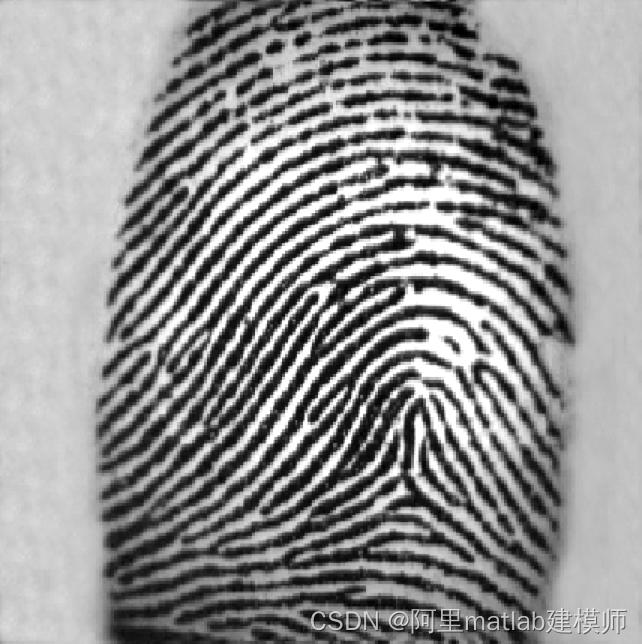 【老生谈算法】基于matlab的指纹处理和识别算法详解及程序源码——指纹识别算法开源指纹算法 Csdn博客